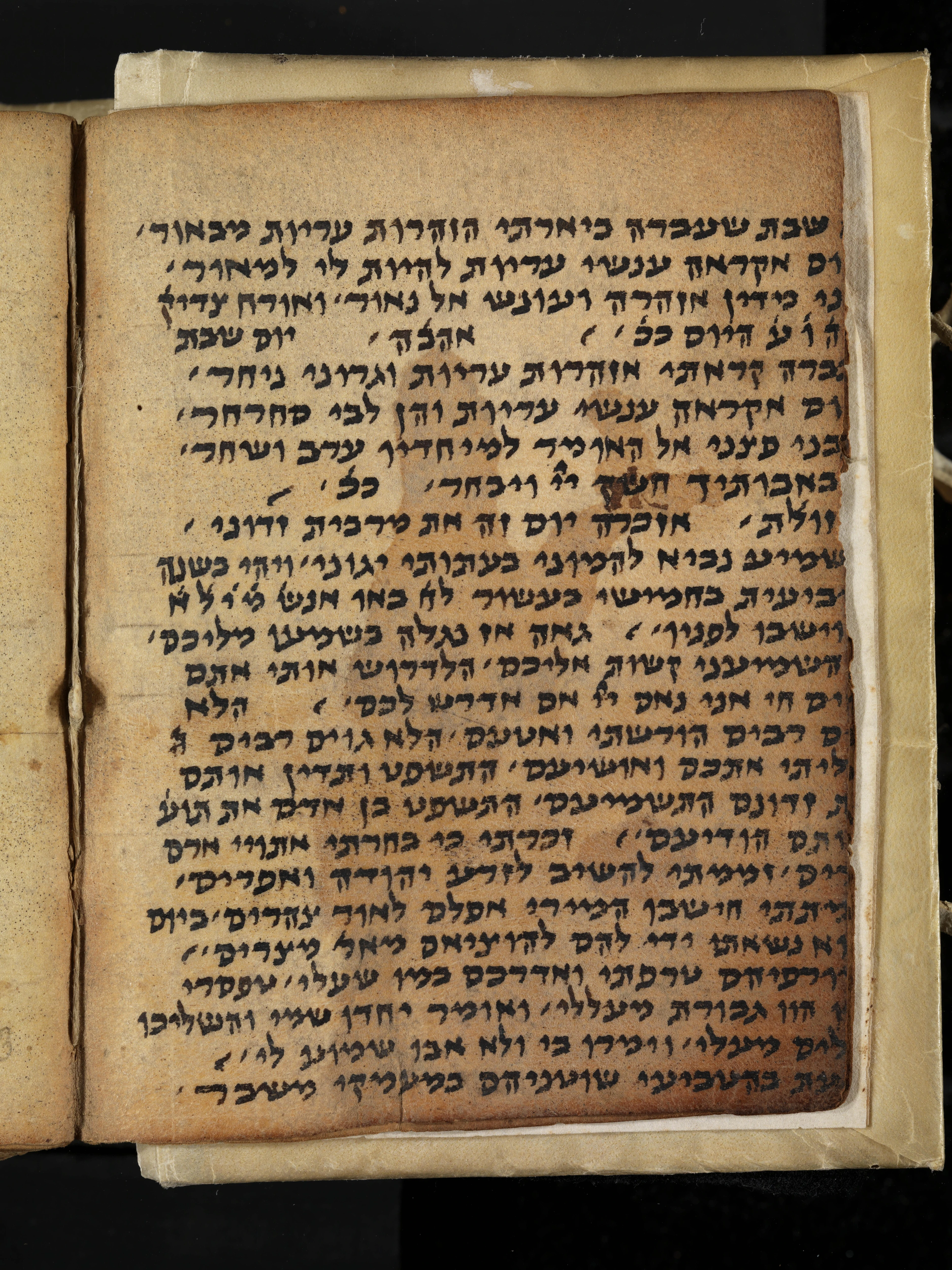 HebrewPal - Hebrew Palaeography Album